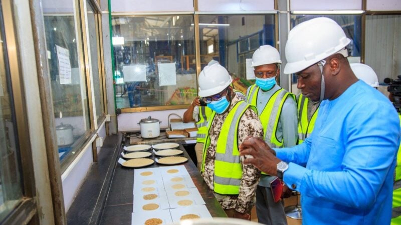 Agriculture au Bénin : le gouvernement encourage la transformation ...